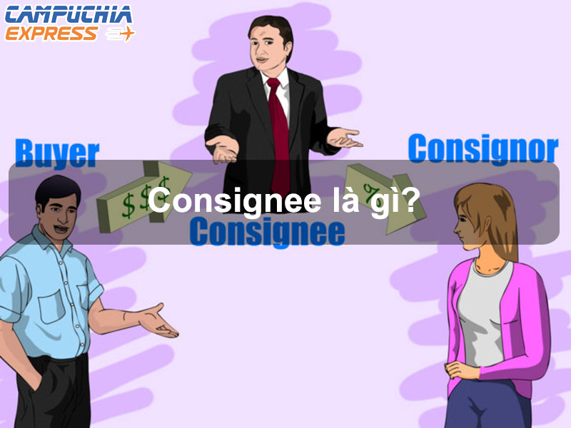 Consignee là gì? Hiểu Về Vai Trò Consignee trong Vận Chuyển